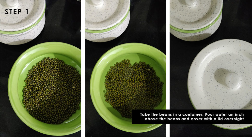 Making sprouts in 3 easy steps - Greener Decisions India | Finding Zero ...